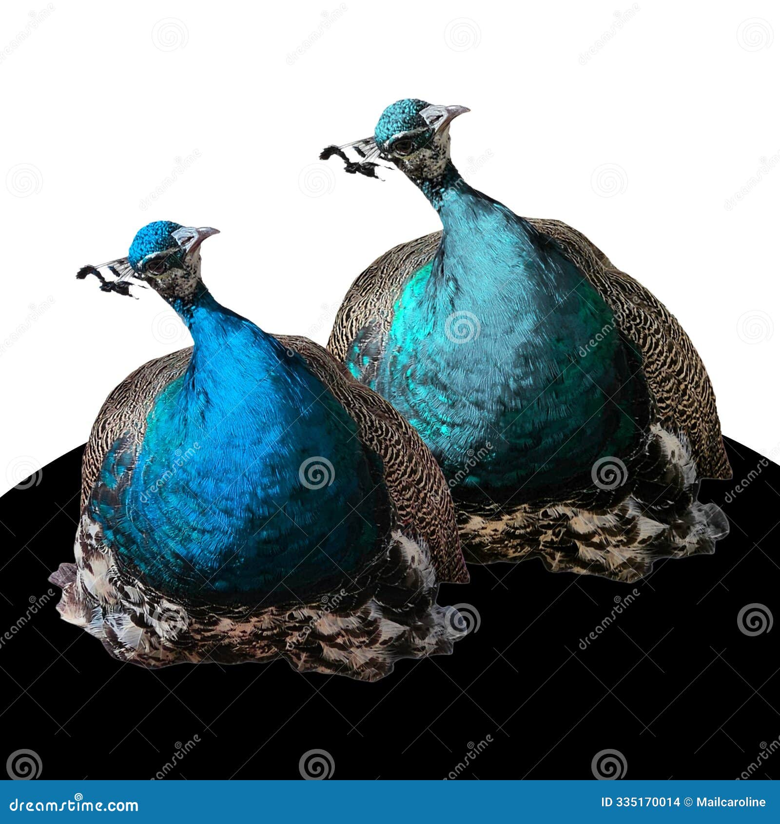 Besties - Modern Slang Word, Meaning Best Friend - Hand Drawn Lettering ...