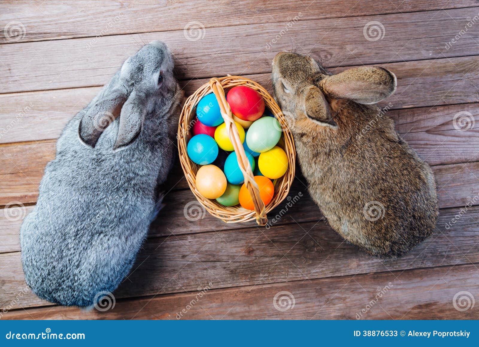 Pair of Cute Easter Rabbits Stock Image - Image of mammal, young: 38876533