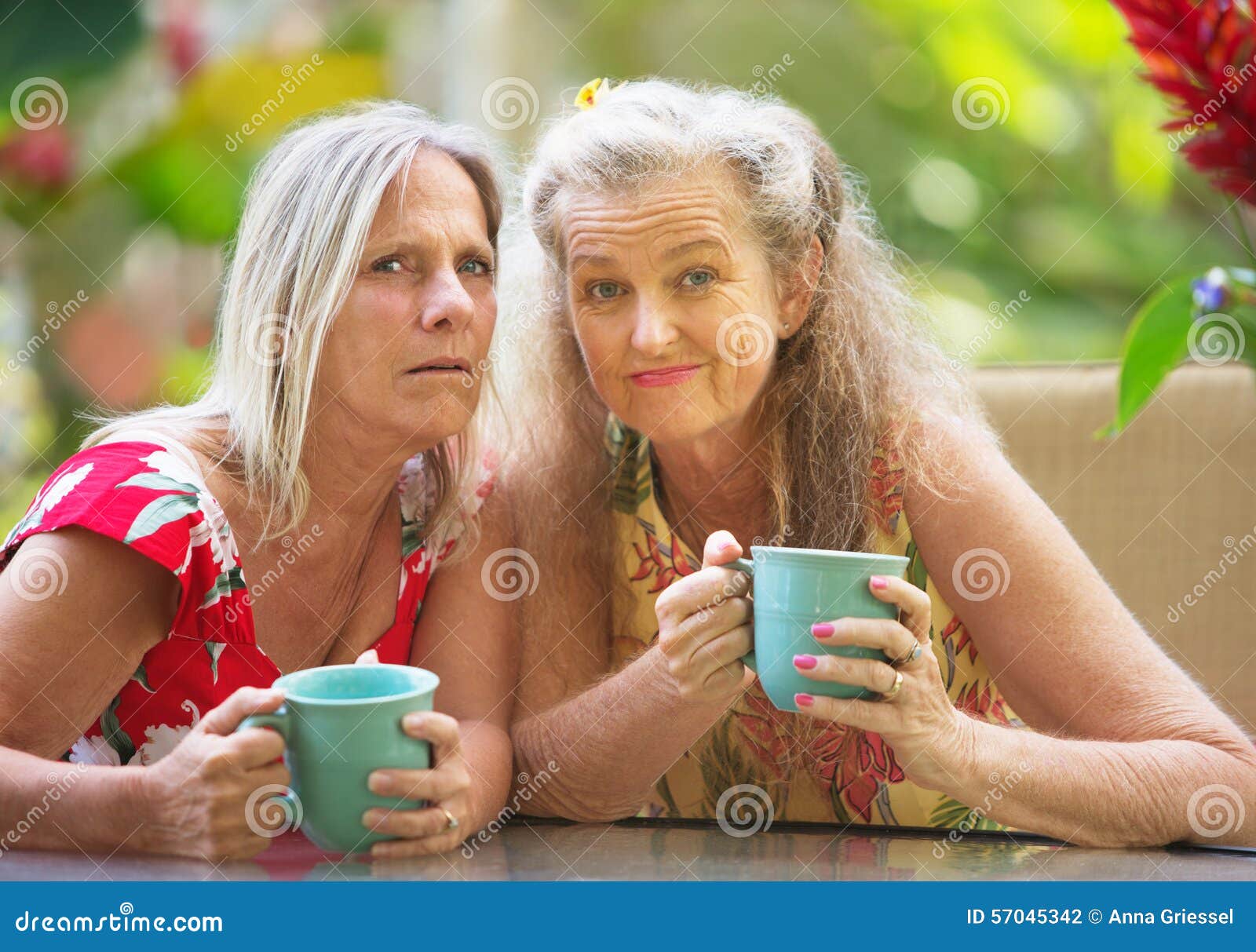 Pair of Doubting Friends stock photo. Image of suspicion - 57045342