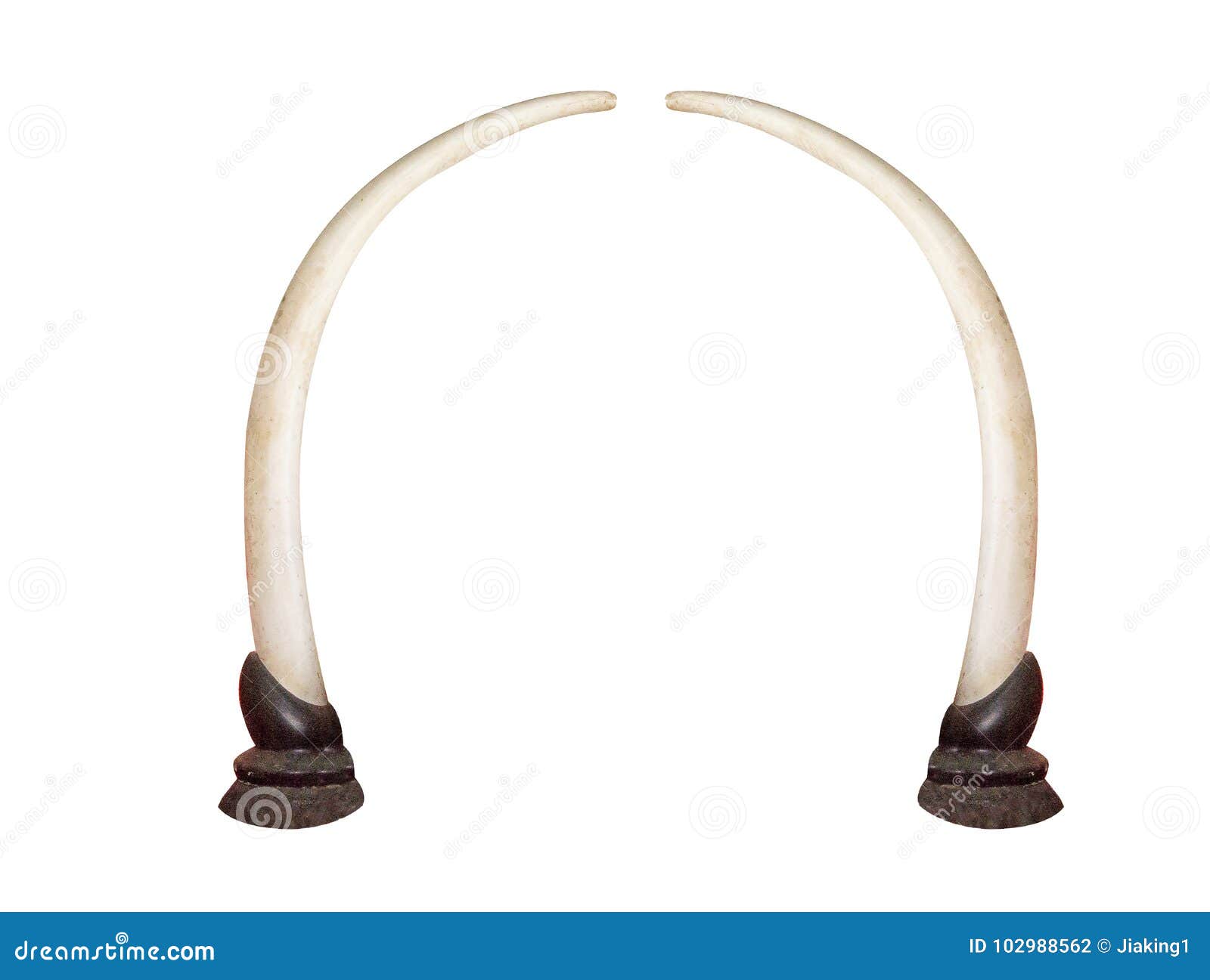 Elephant Ivory Craved Model Of Sitting Emperor Isolated On White ...