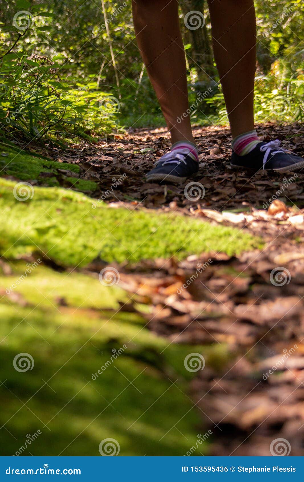 Pair of Feet in Forest Path Stock Photo - Image of colorful, laces ...