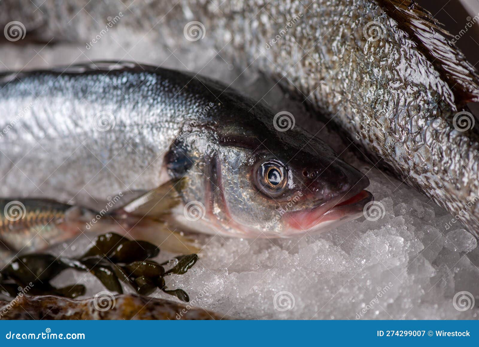 Pair of Fish Lying on a Bed of Ice in the Market Stock Image - Image of ...