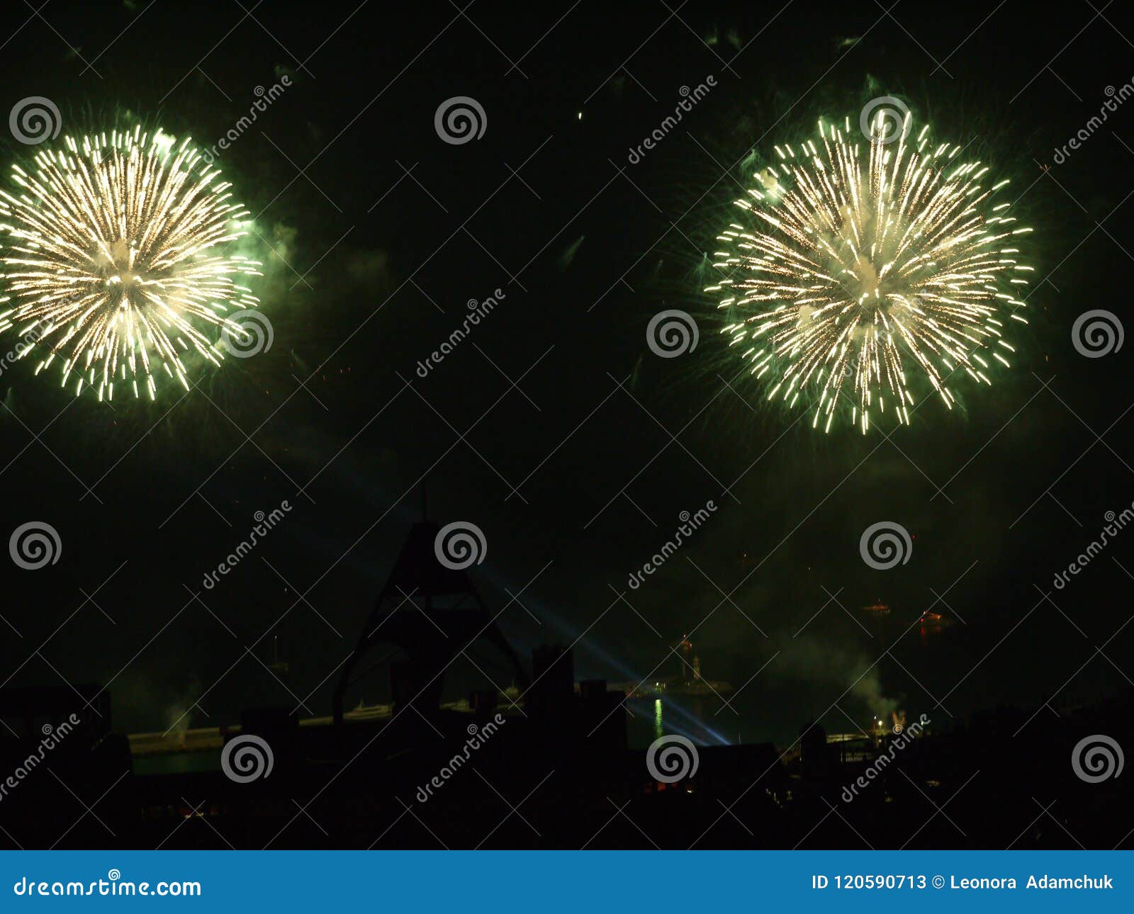 A Pair of Flowers Synchronously Exploded Fireworks Against the Backdrop ...