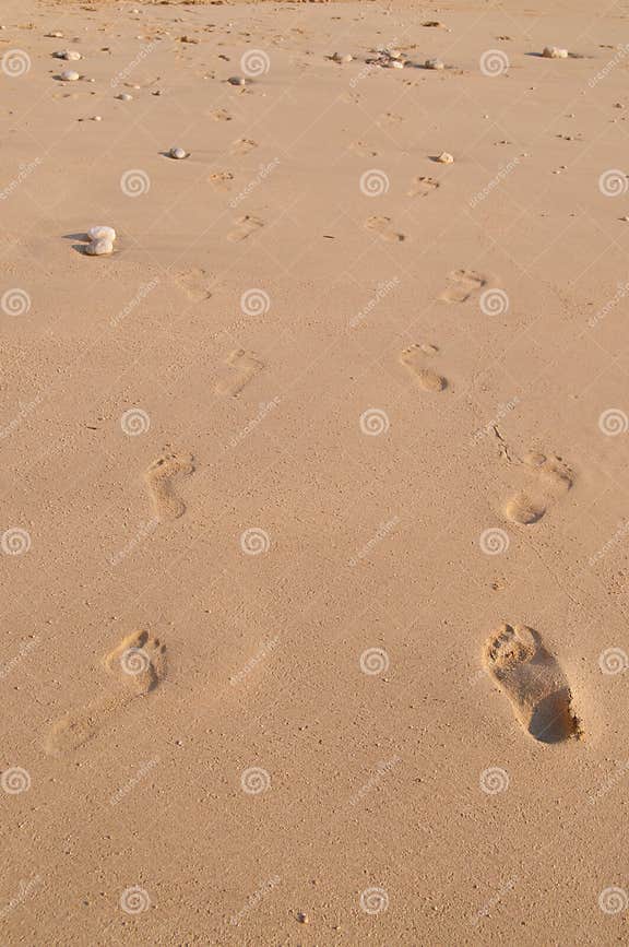 Pair of Footsteps in Sand stock photo. Image of footsteps - 20412230