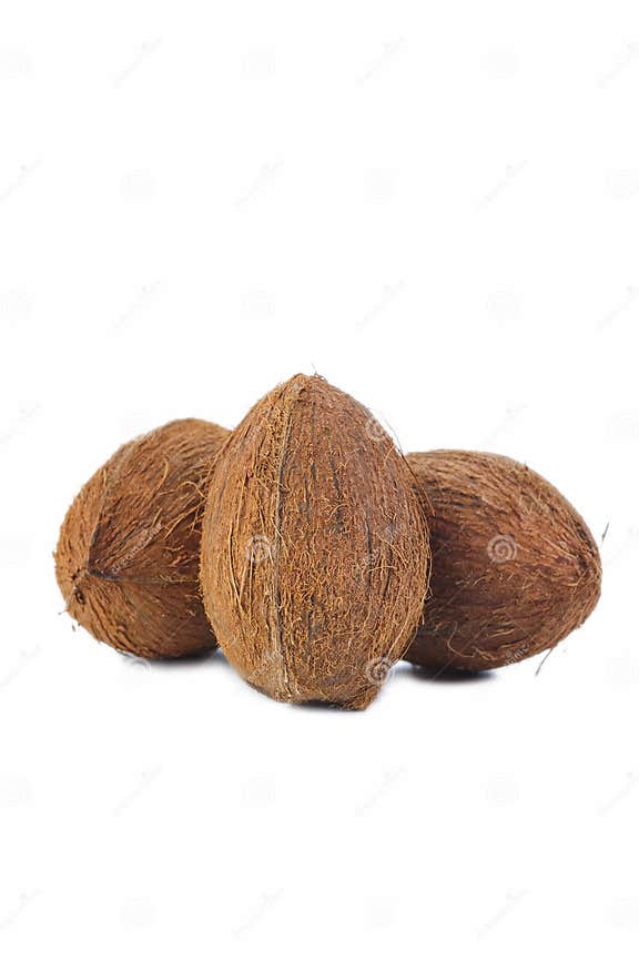 Pair of Fresh Coconuts Placed Together Isolated Over Pure White ...