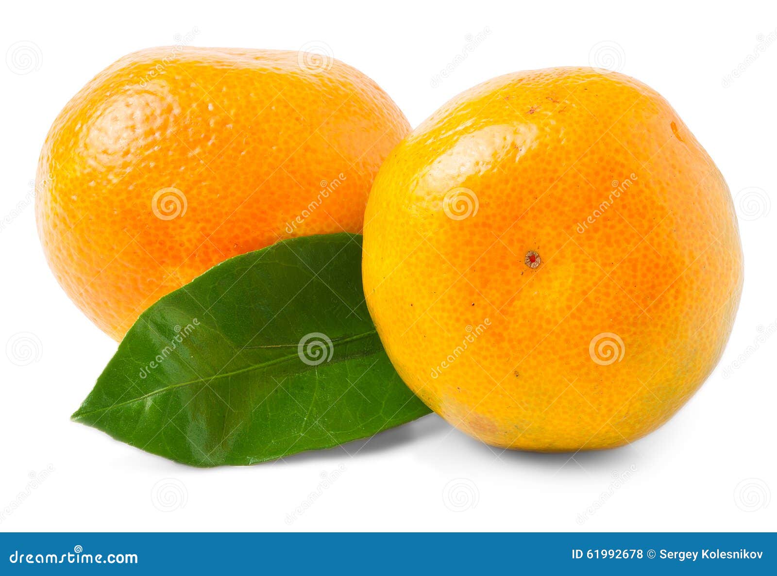 Pair of Fresh Mandarin Oranges Stock Photo - Image of delicious, sweet ...