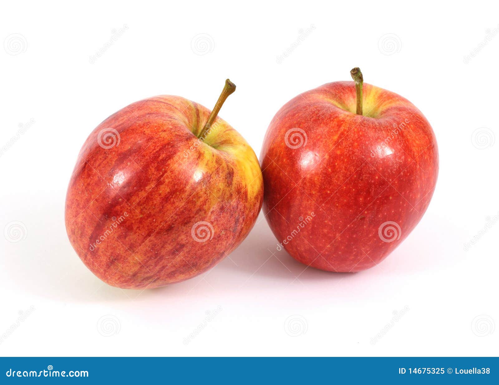 Pair Gala Apples stock image. Image of oval, apples, mottled - 14675325