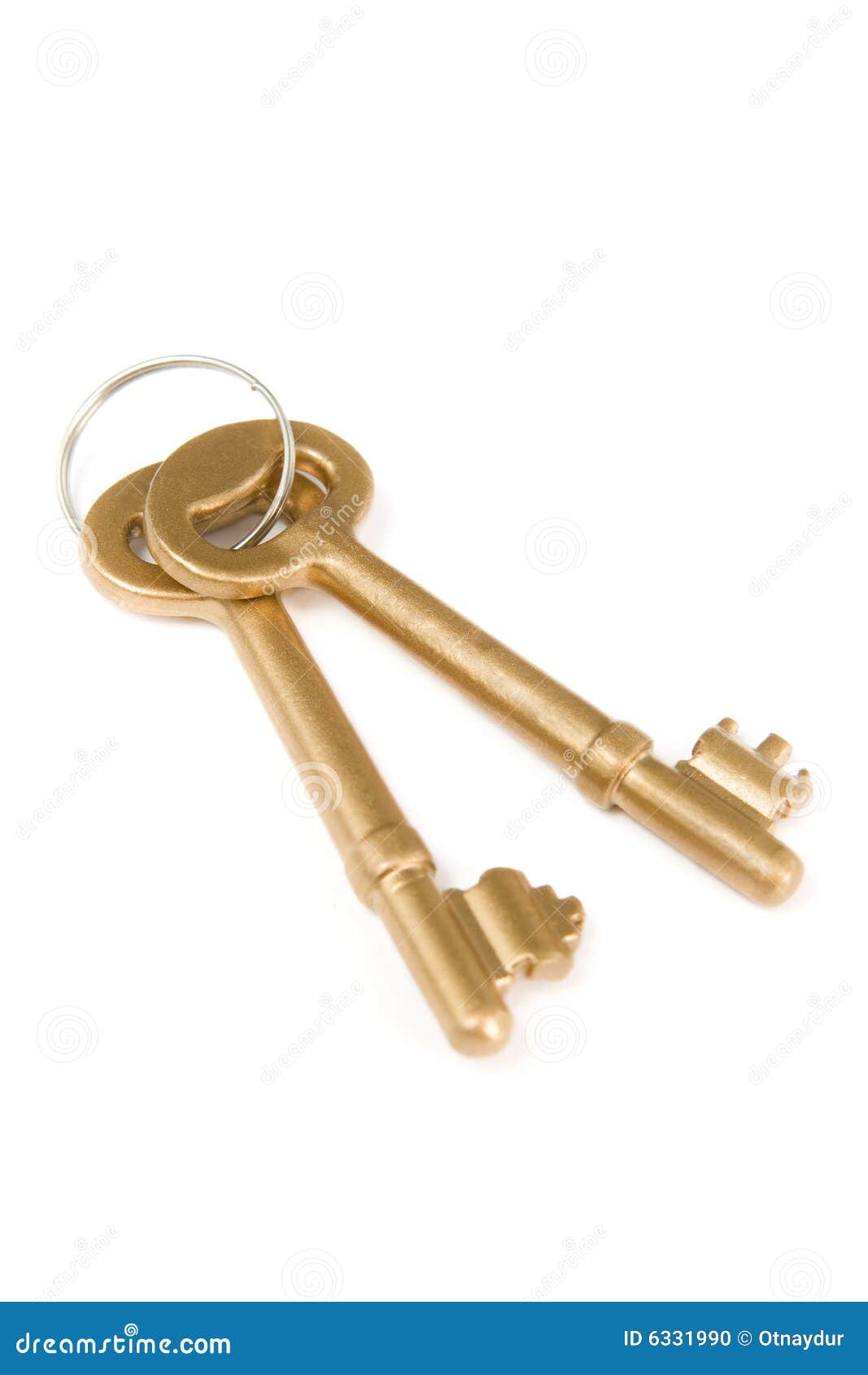 Pair of golden keys stock photo. Image of golden, white - 6331990