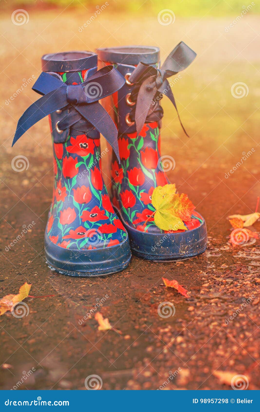 Pair of Gum Boots in a Puddle Stock Photo - Image of kids, outdoor ...