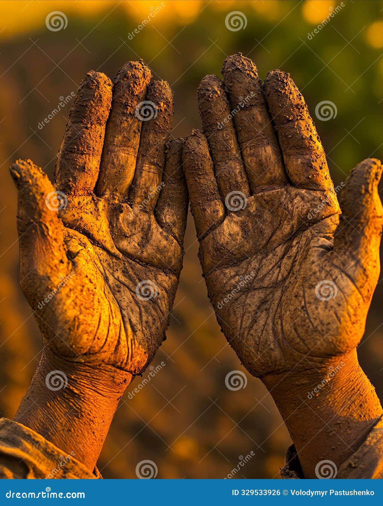 A Pair of Hands Covered in Mud on a Dirt Field Stock Photo - Image of ...