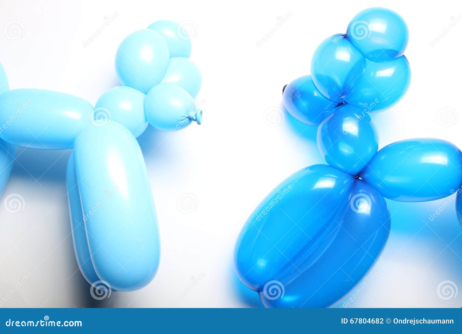 Pair of Inflatable Balloon Dogs Stock Photo - Image of game, tail: 67804682