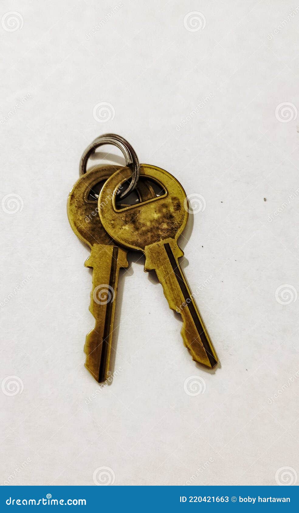 A pair of keys stock image. Image of jewellery, iron - 220421663