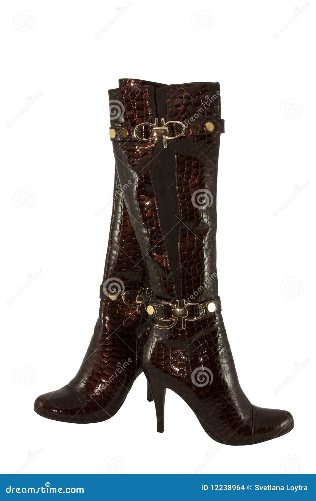 Pair of Leather High Female Modelling Boots Stock Photo - Image of pair ...