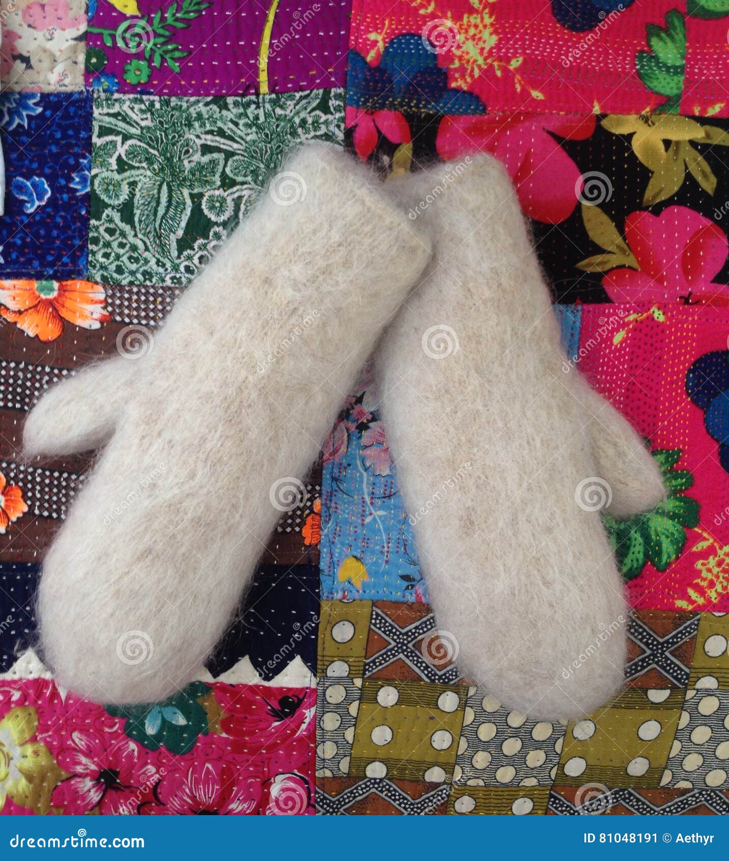A pair of mittens stock image. Image of cold, design - 81048191