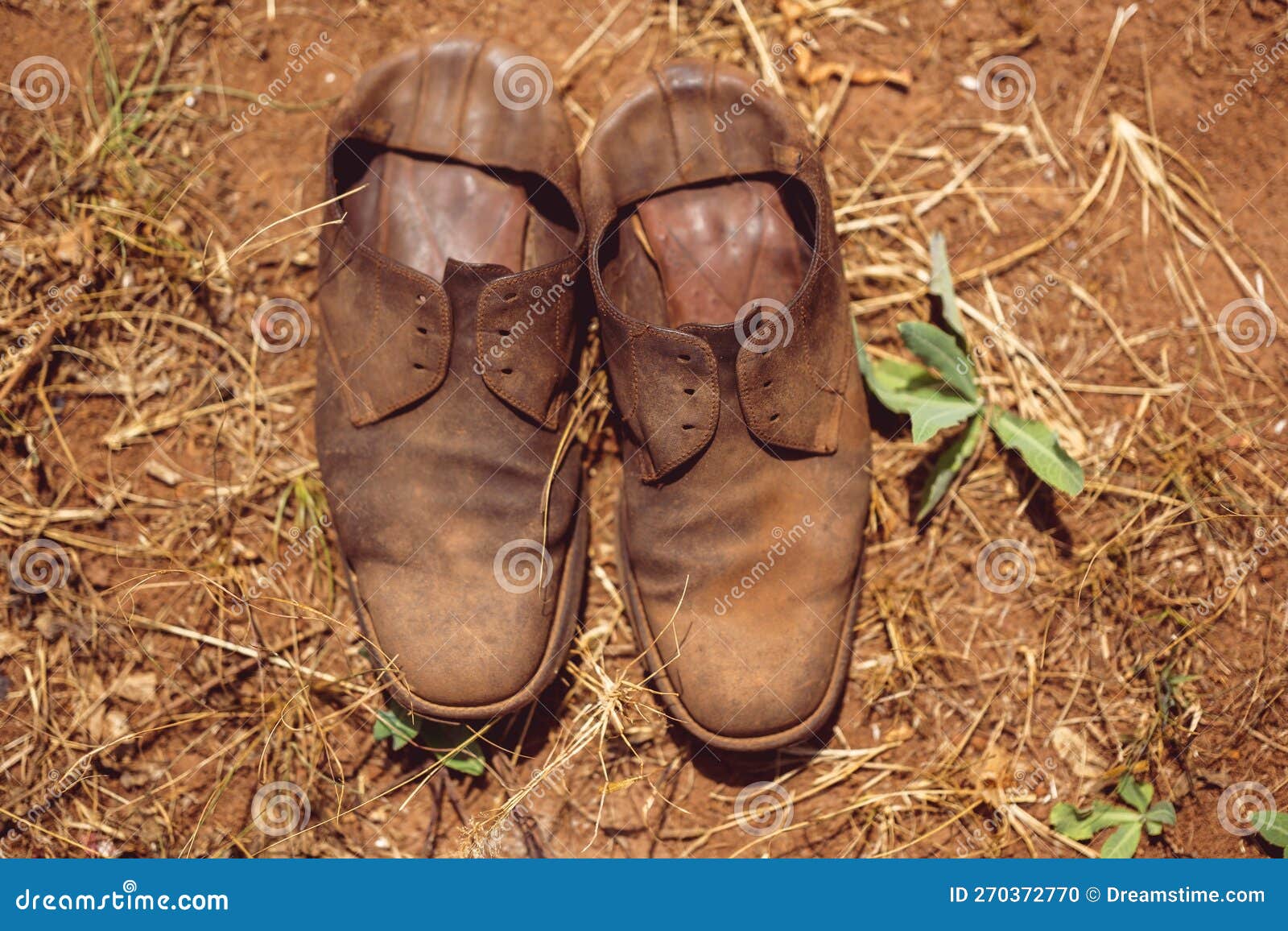 Pair of Old Brown Shoes Lying on the Ground Surrounded by Lush Greenery ...