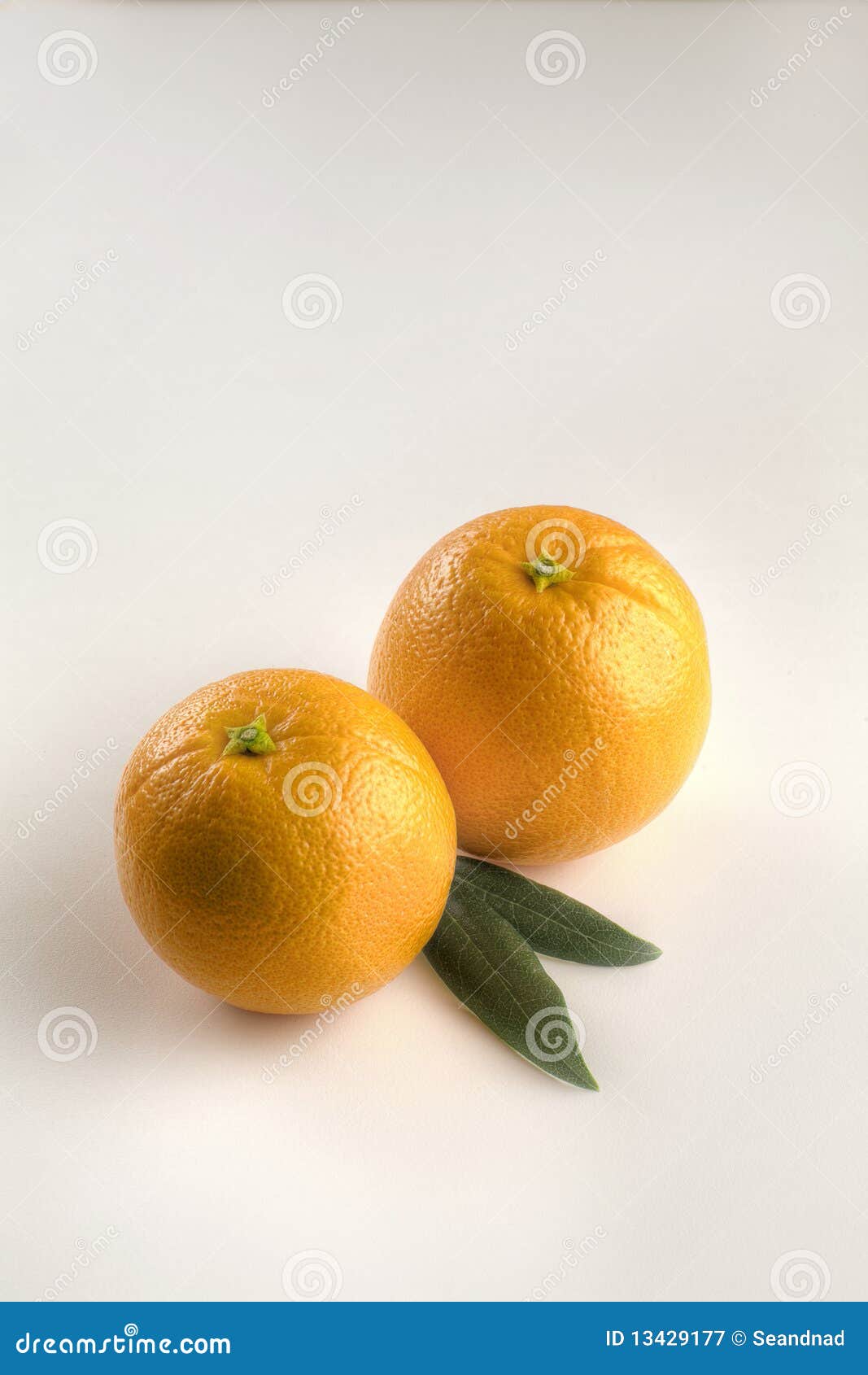 A Pair of Oranges stock image. Image of green, navel - 13429177