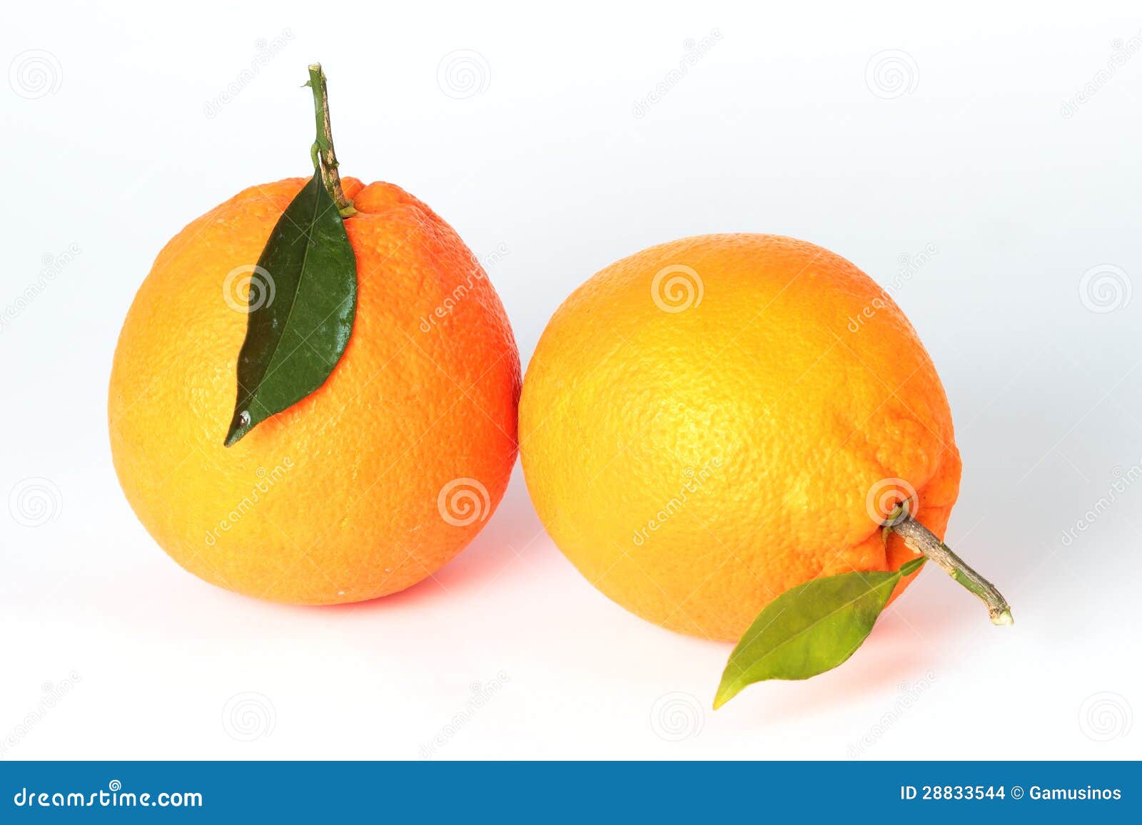 A pair of oranges stock photo. Image of ripe, tropic - 28833544
