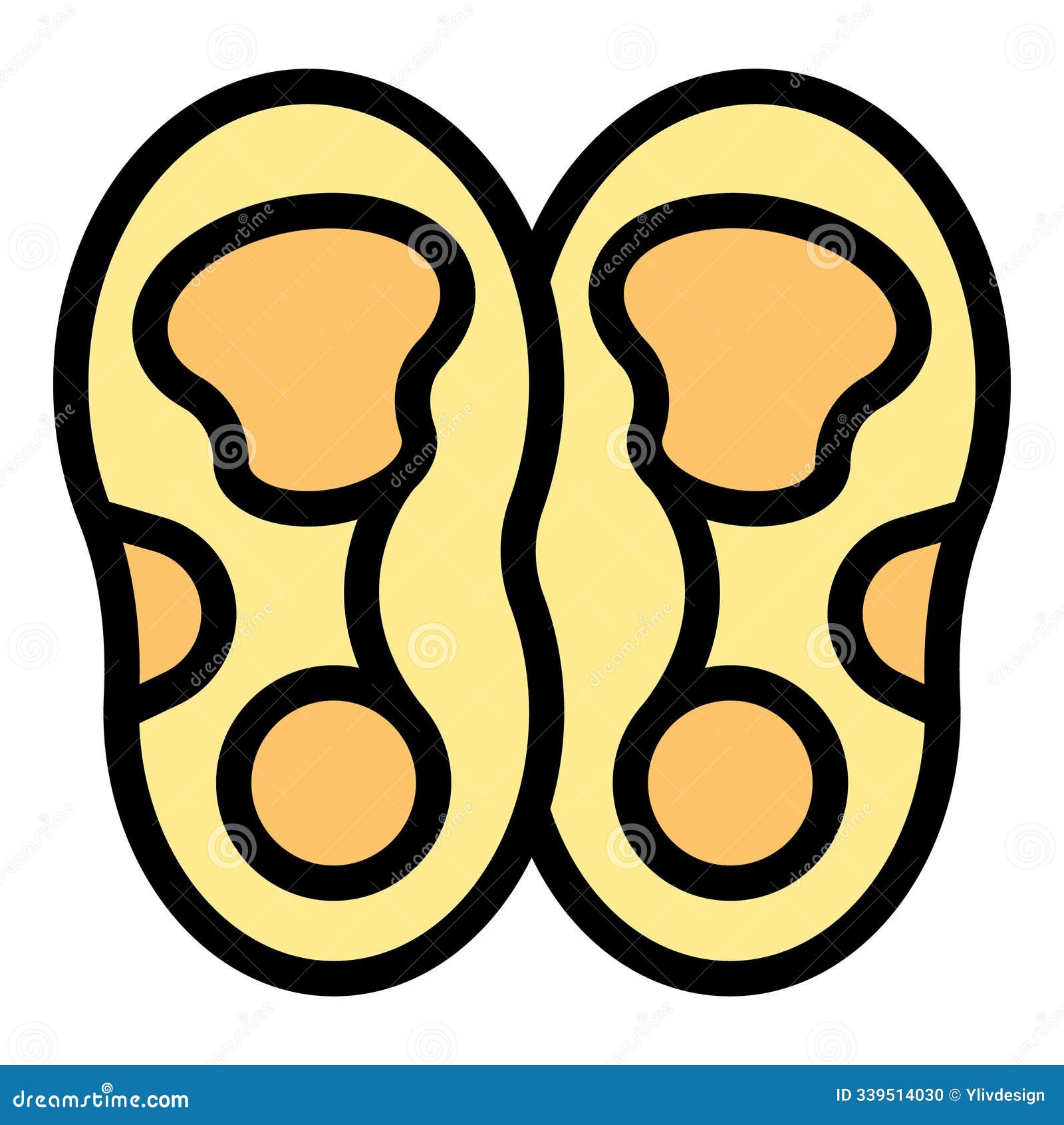 Pair of Orthopedic Insoles Showing Their Shape and Function Stock ...