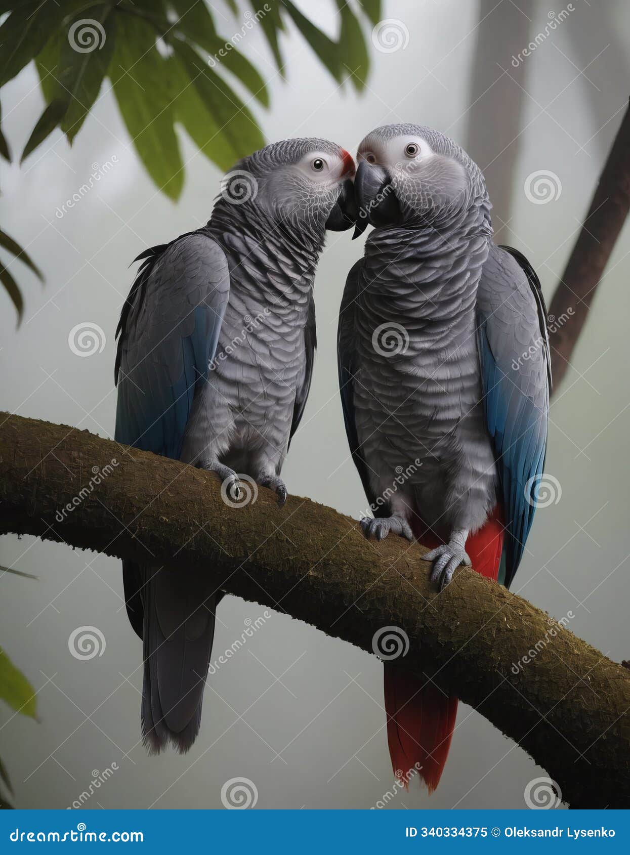 Pair of Parrots in the Forest Stock Illustration - Illustration of ...