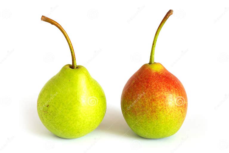 Pair of pears stock image. Image of colourful, food, yellow - 10689801