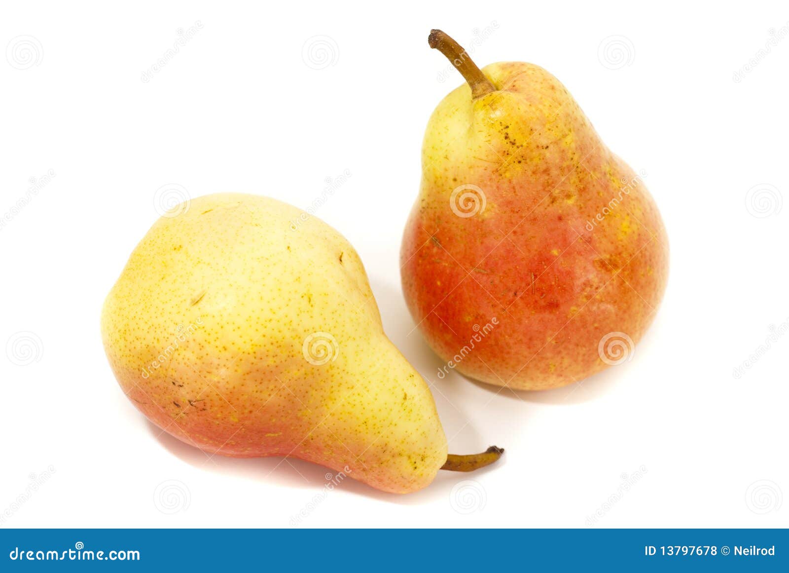 Pair of pears stock photo. Image of juicy, dieting, refreshment - 13797678