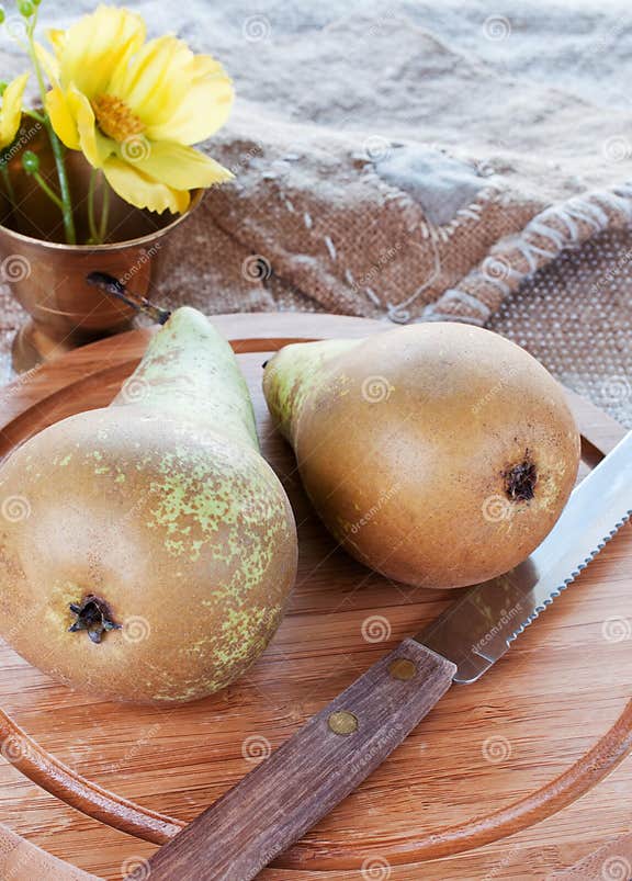 Pair of pears stock image. Image of harvest, healthy - 23459501