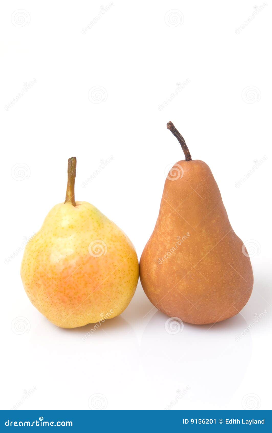 Pair of Pears stock image. Image of shot, nature, juicy - 9156201