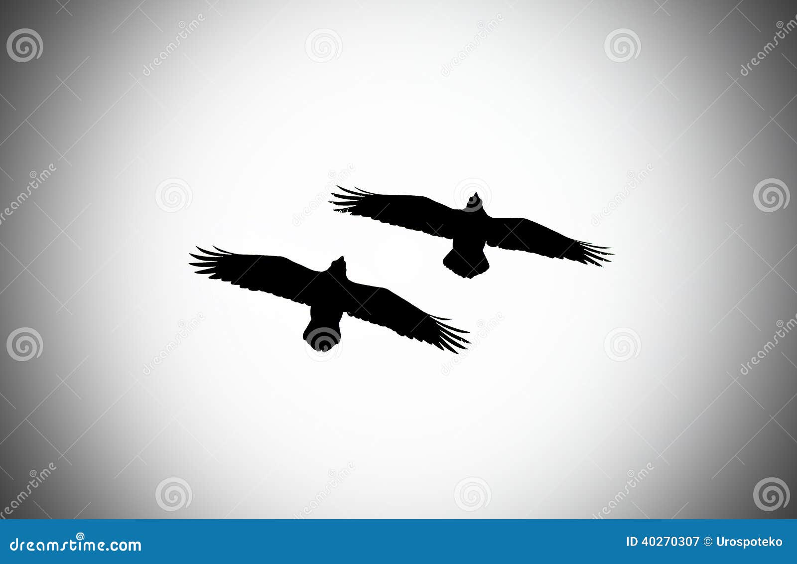 Pair of ravens stock illustration. Illustration of rook - 40270307