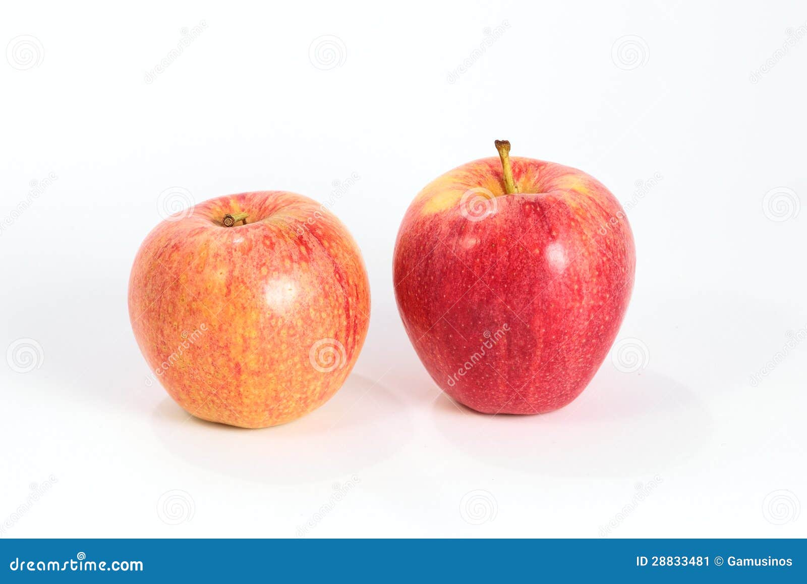 A pair of red apples stock image. Image of apple, food - 28833481