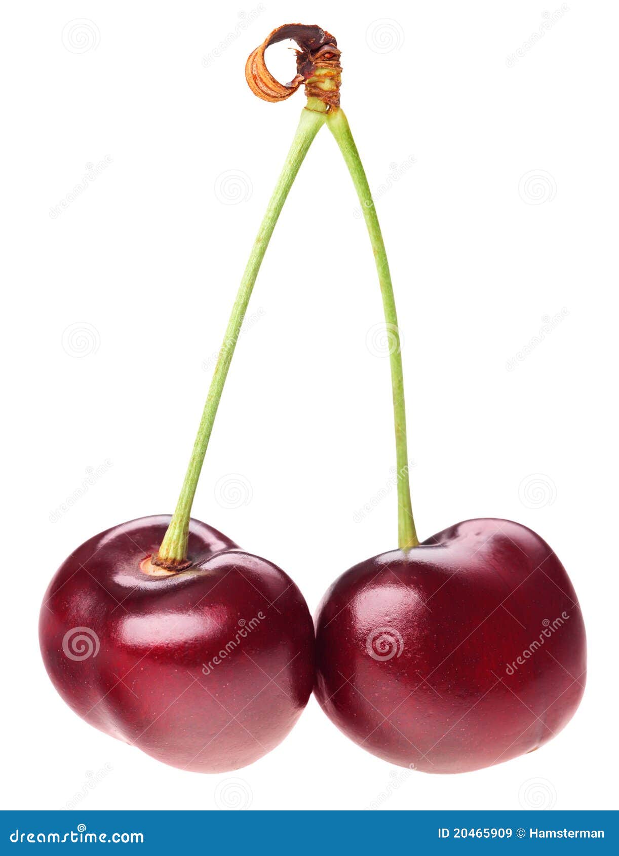 Pair of Red Ripe Cherry Fruit with Green Stem Stock Image - Image of ...
