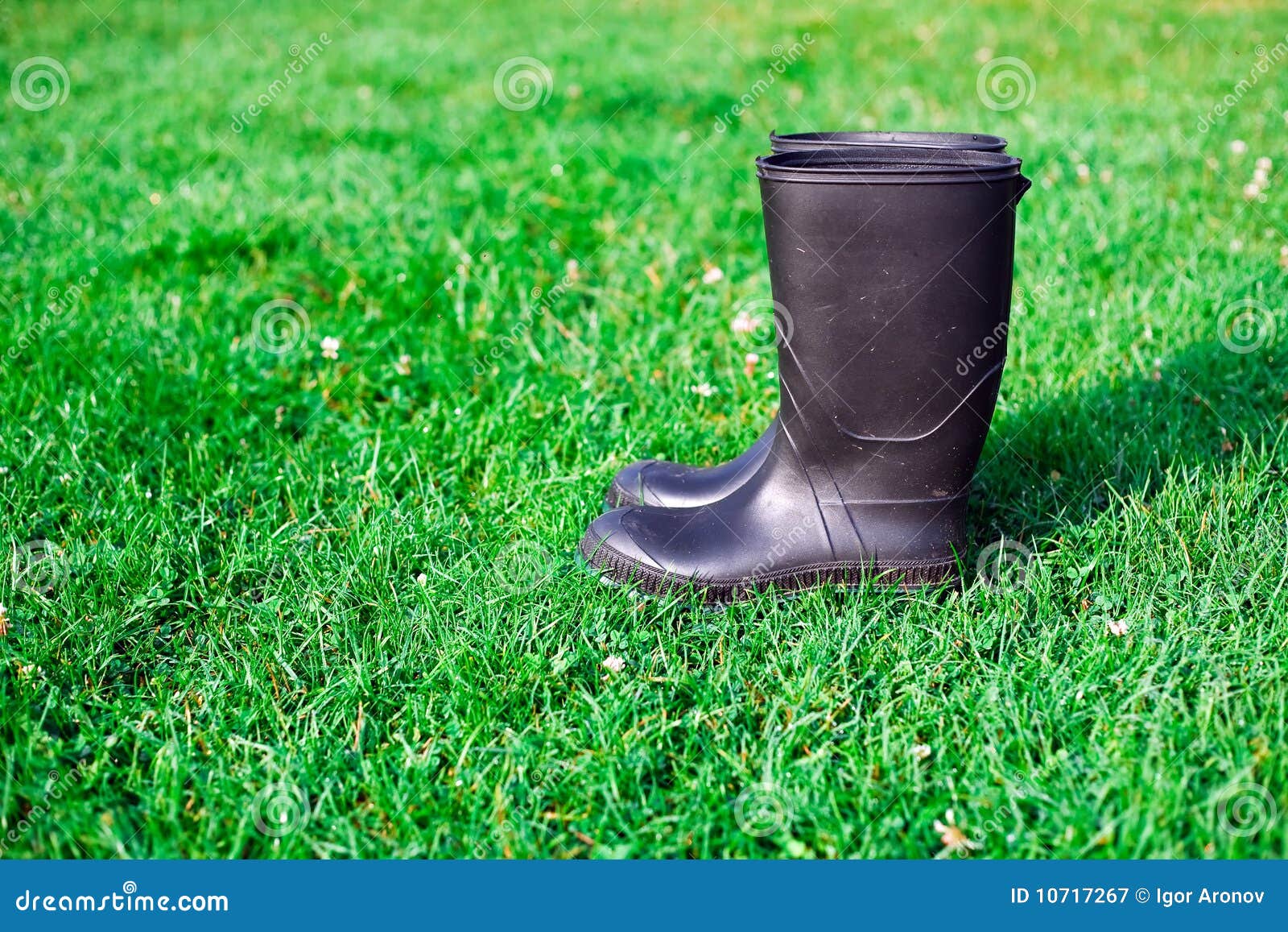 Pair of rubber boots stock image. Image of field, rubber - 10717267
