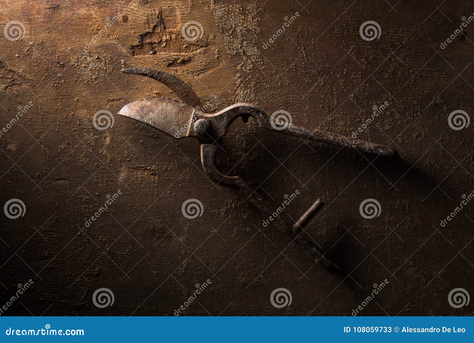 A Pair of Rusty Shears stock image. Image of rusty, brown - 108059733