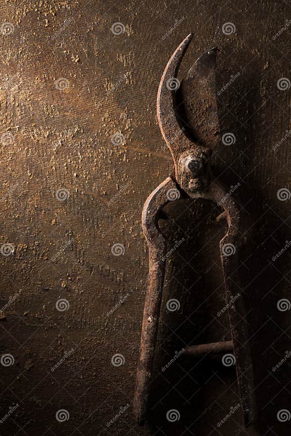 A Pair of Rusty Shears stock image. Image of vertical - 108059641
