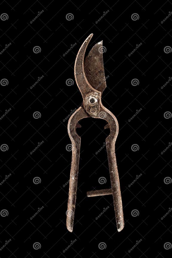 A Pair of Rusty Shears stock photo. Image of rusted - 108059764