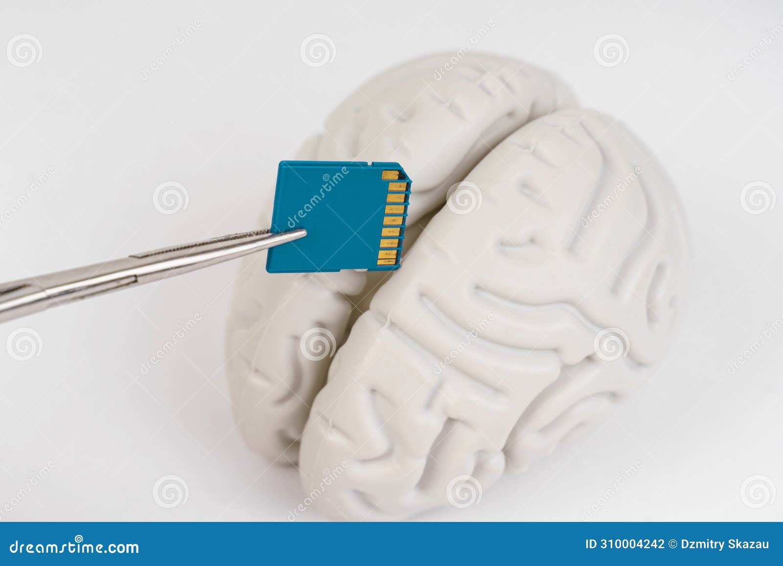 A Pair of Scissors Cutting a Section of a Human Brain Stock Photo ...