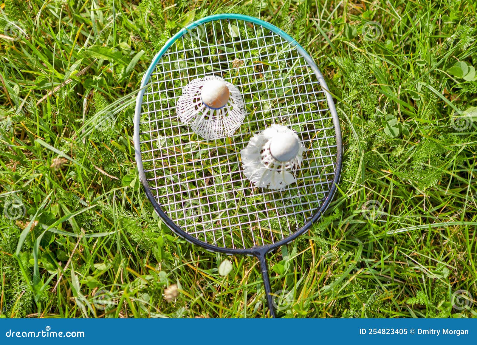Pair Of Shuttlecocks On Badminton Racket Royalty-Free Stock Photo ...