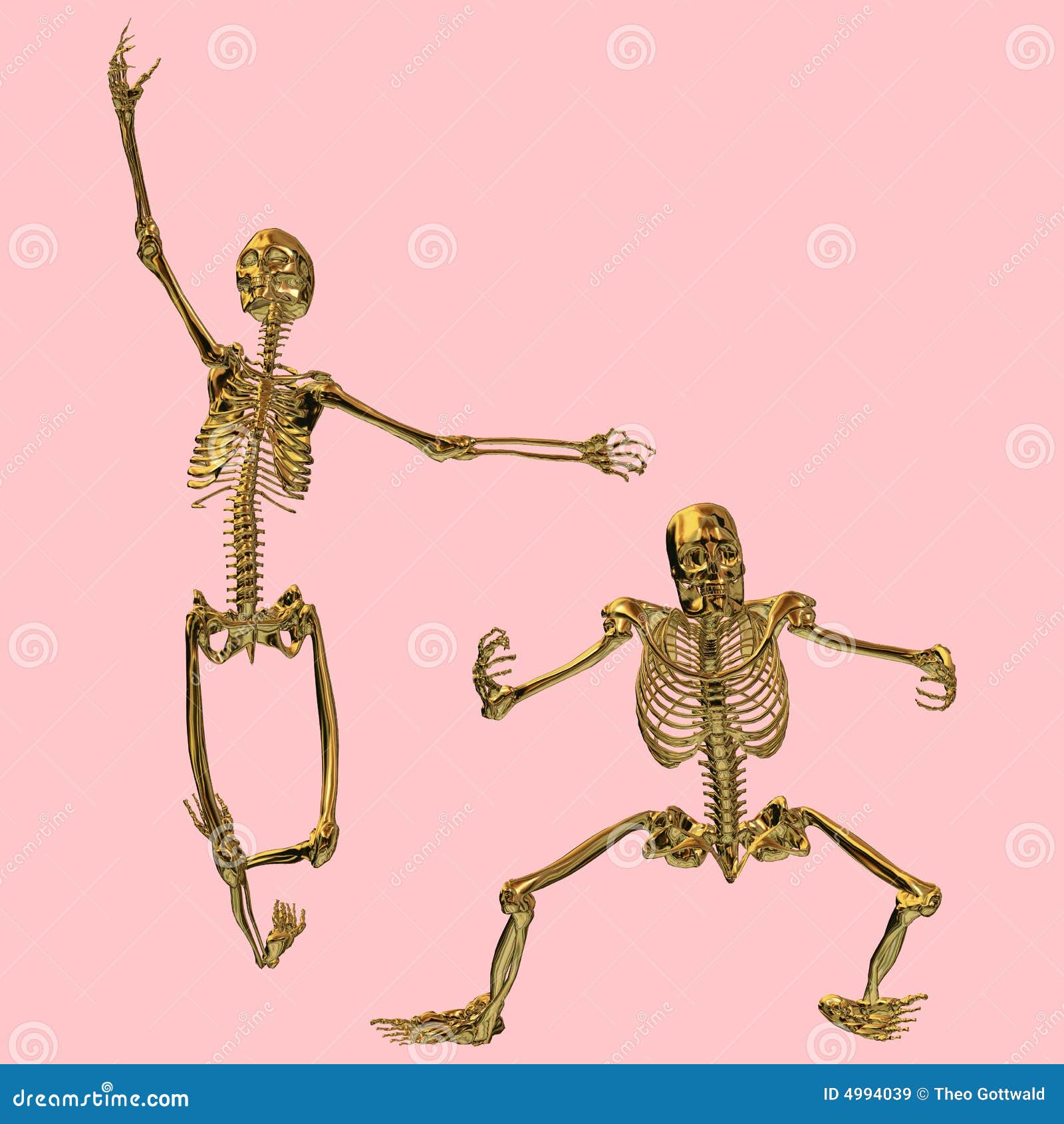 Pair of Skeletons stock illustration. Illustration of gold - 4994039