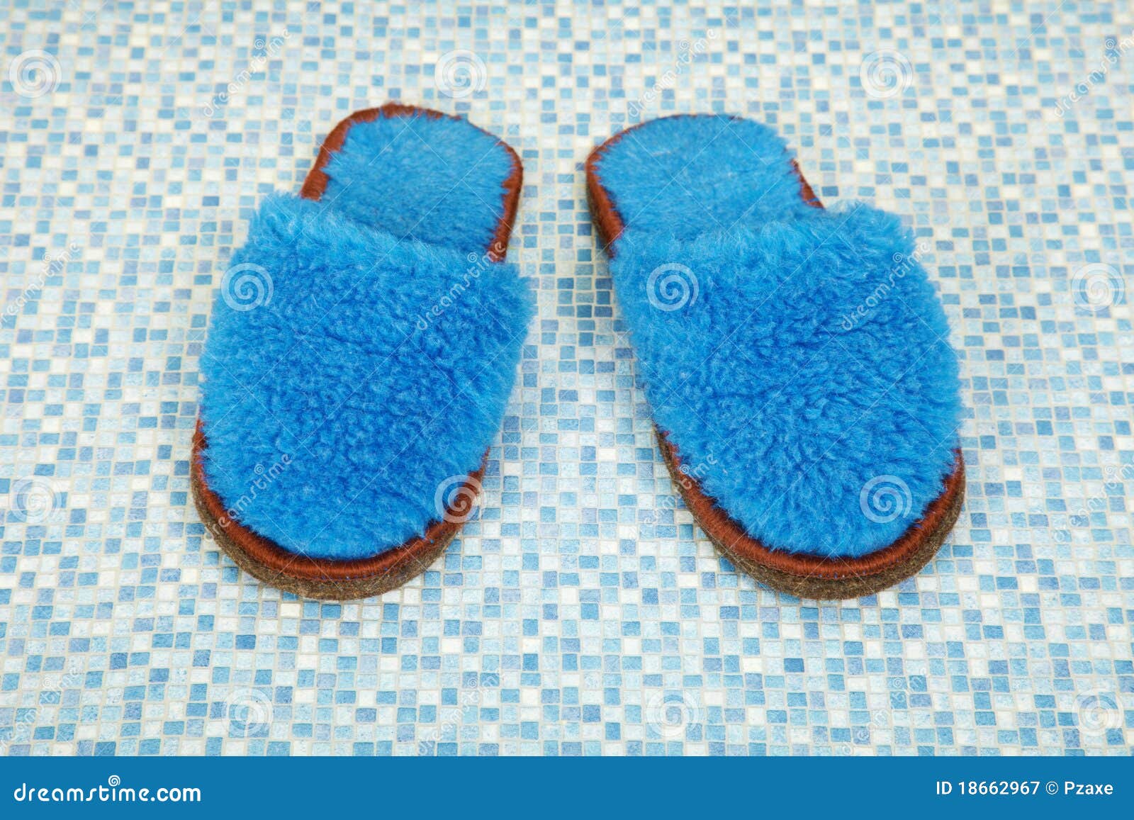Blue Slippers Royalty-Free Stock Photography | CartoonDealer.com #7660487