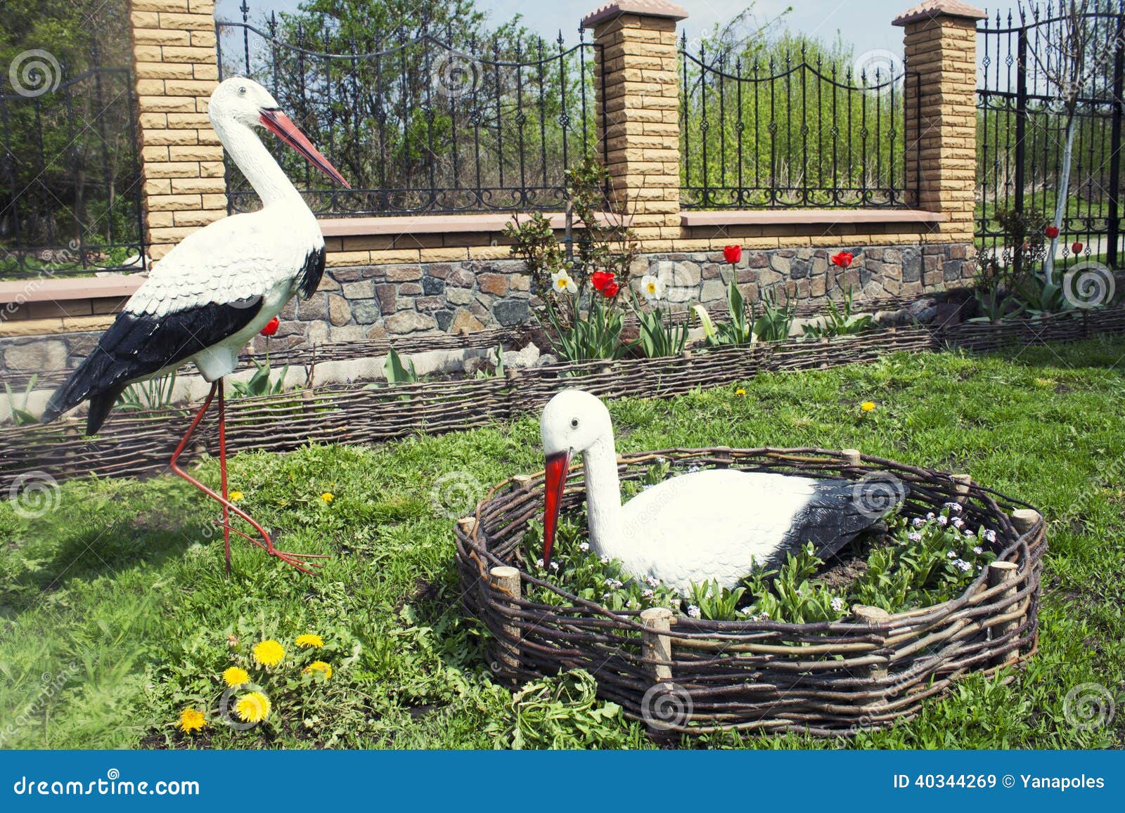 A Pair of Storks in the Garden Stock Image - Image of yard, couple ...
