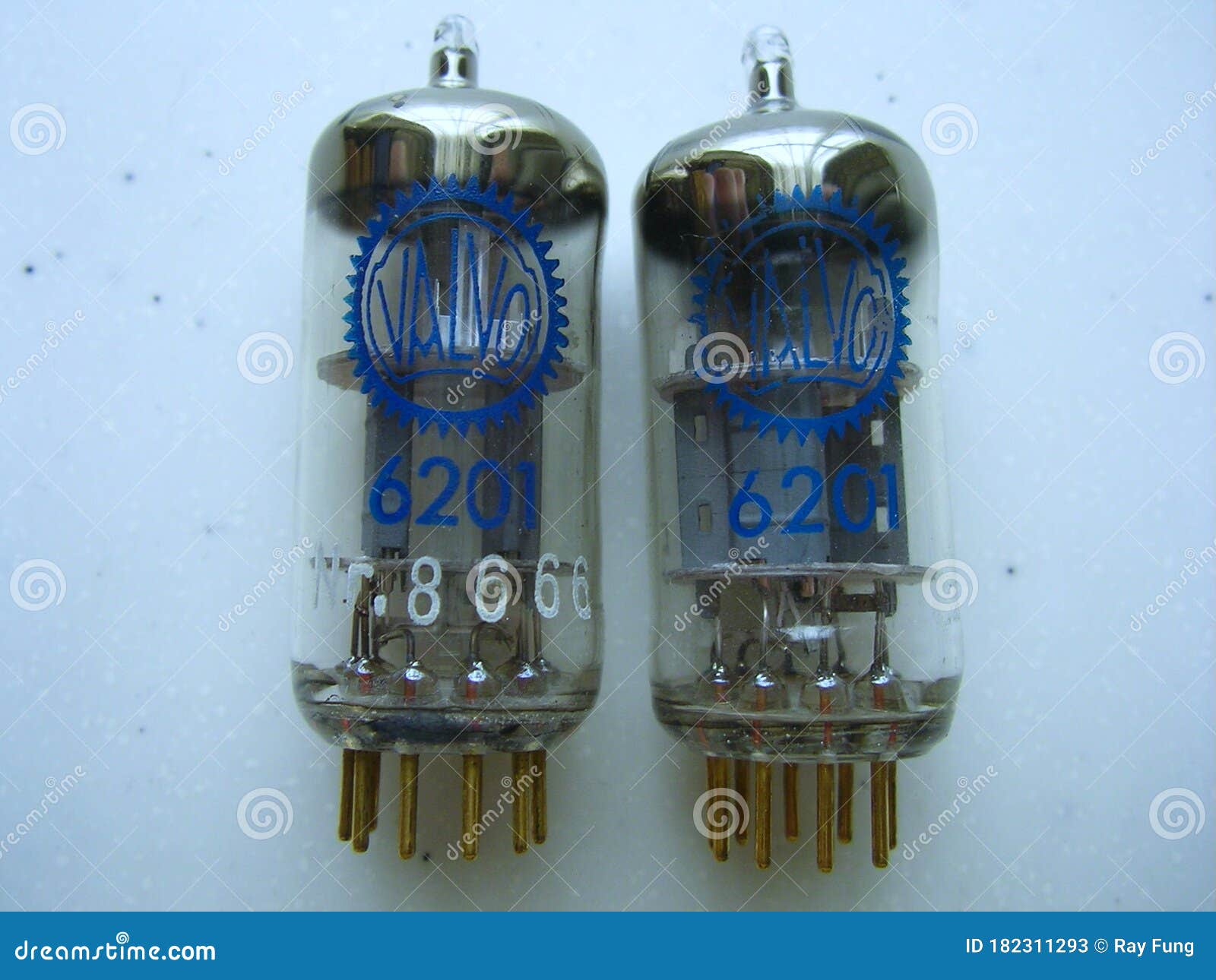 Pair of Thermionic valve stock image. Image of pair - 182311293