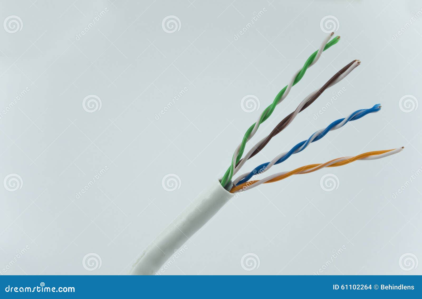 Pair Of Twisted Ethernet LAN Network Cables, In The Hand Of The Master ...