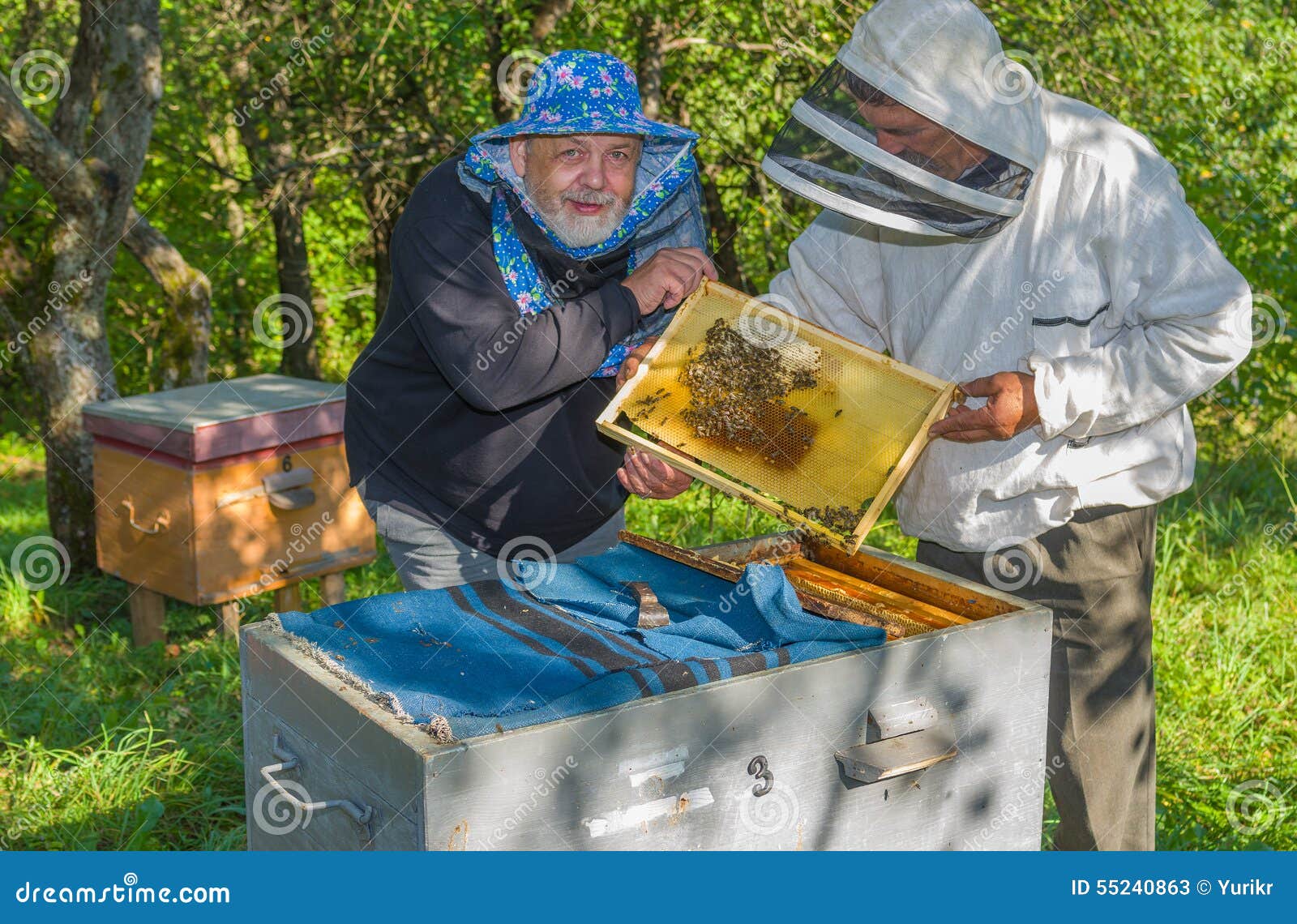 Pair of Ukrainian Bee-keepers at Work Place Stock Image - Image of ...