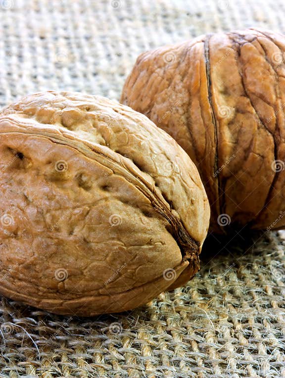 Pair of walnuts on jute stock photo. Image of edible - 28323240