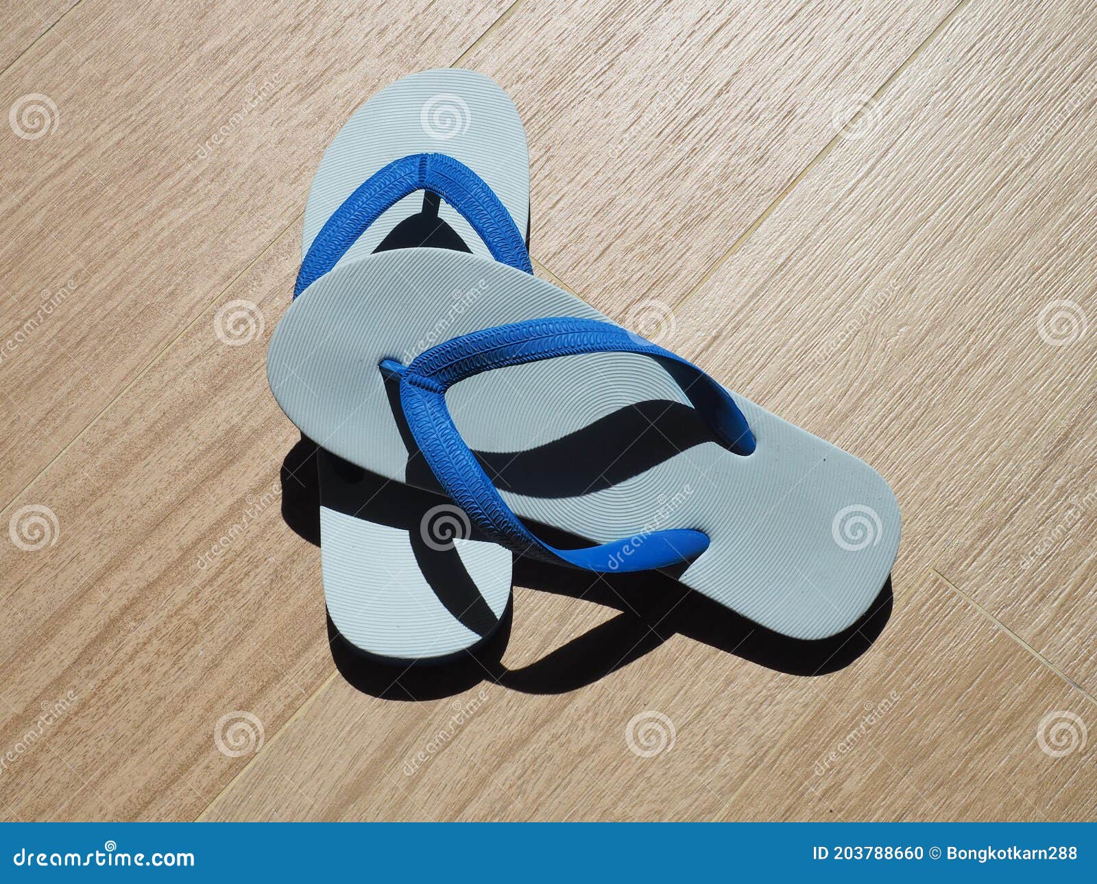 A Pair Of Grip Slippers Royalty-Free Stock Image | CartoonDealer.com ...