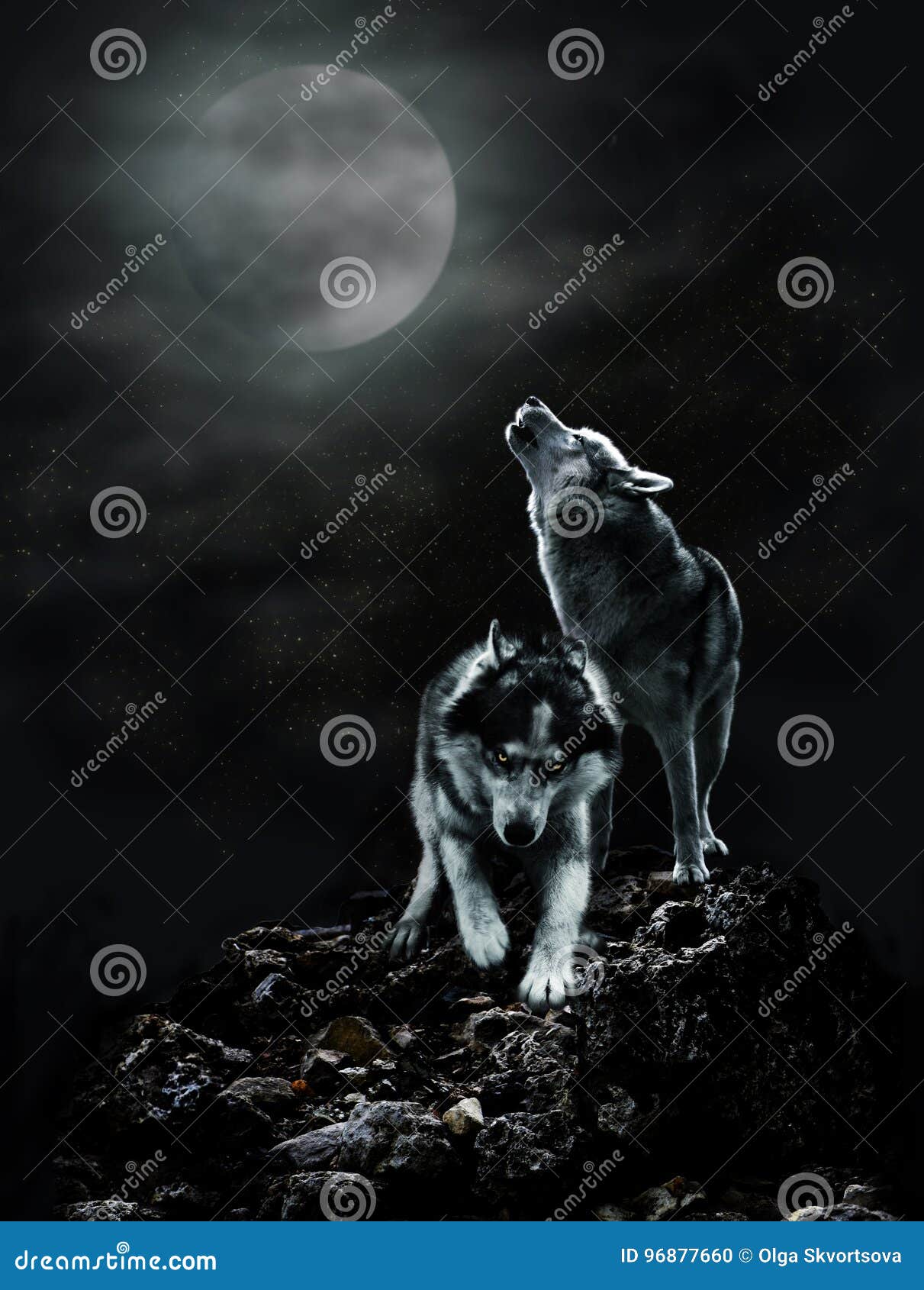A Pair of Wolves on a Dark Night and the Moon Stock Photo - Image of ...