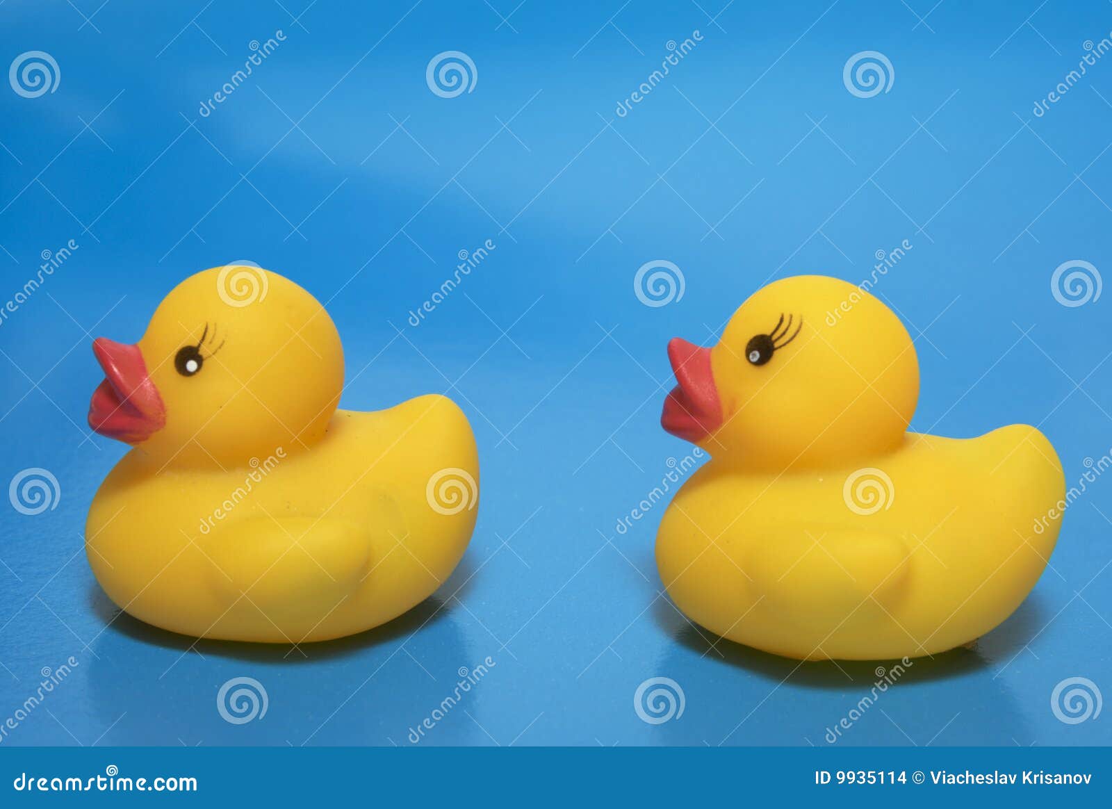 Pair Yellow Rubber Duckling Stock Photo - Image of descriptive, pair ...