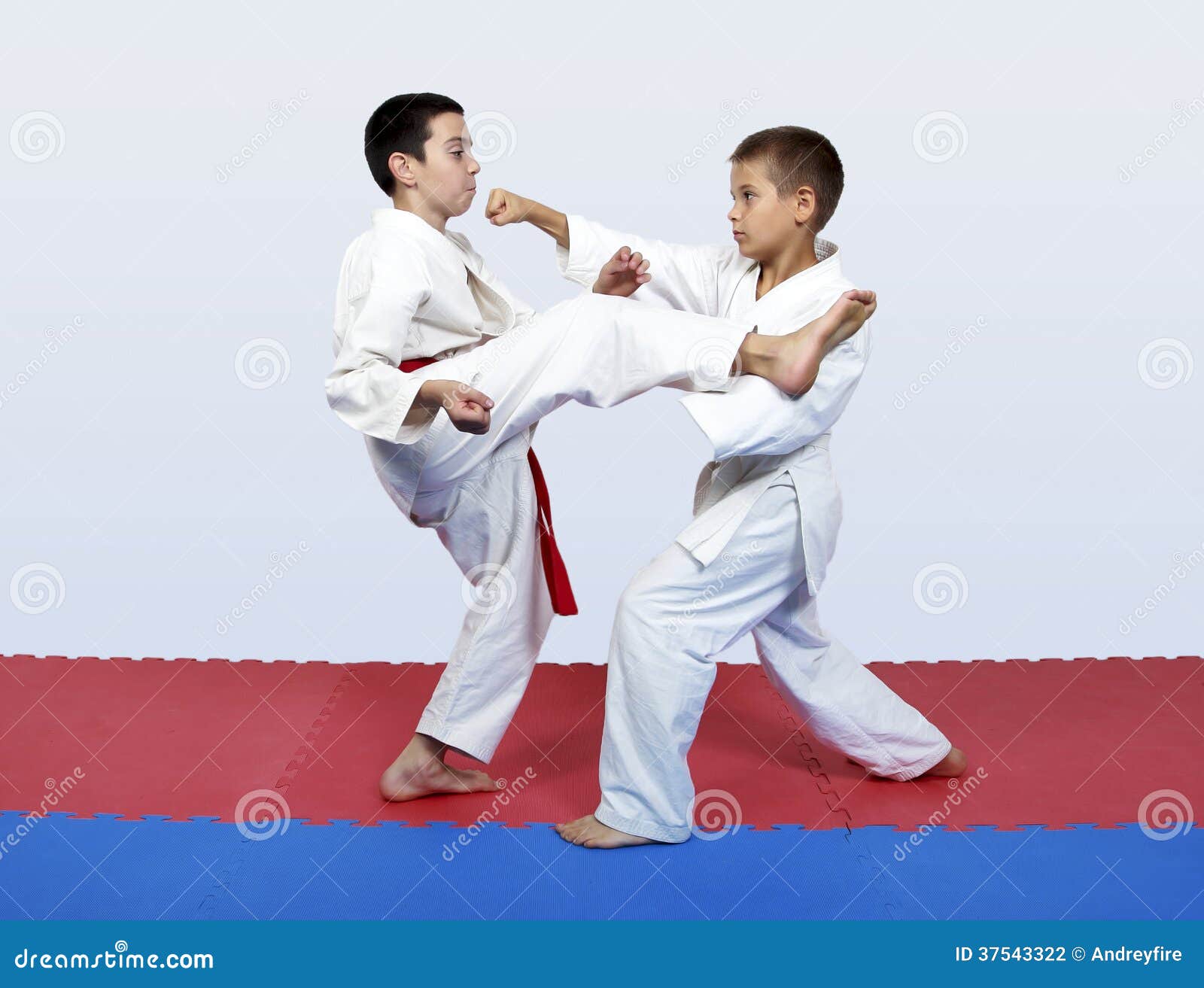 Paired Exercises Karate Athletes with White and Red Sash Stock Photo ...