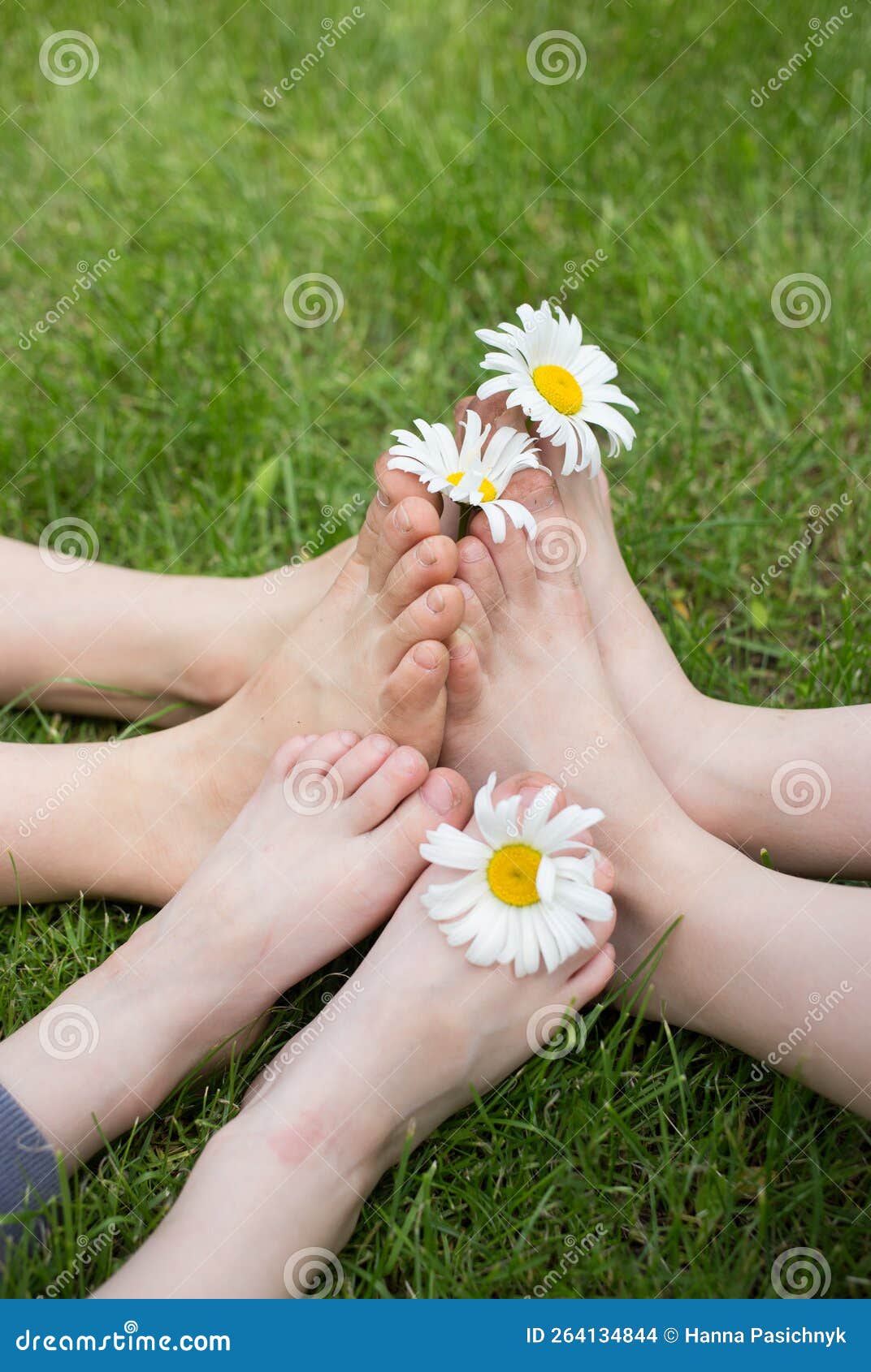 3 Paires De Pieds Denfant Nu Sur Lherbe Fleurs Chamomiles Entre Leurs