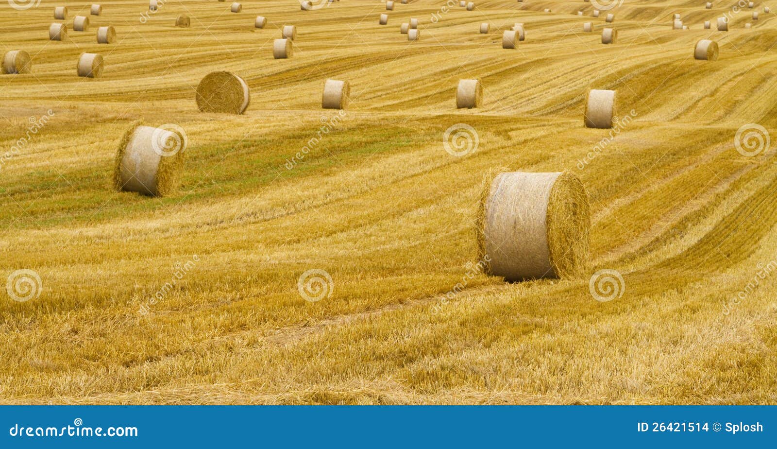 Paisagem com rolo do feno foto de stock. Imagem de nuvem - 26421514