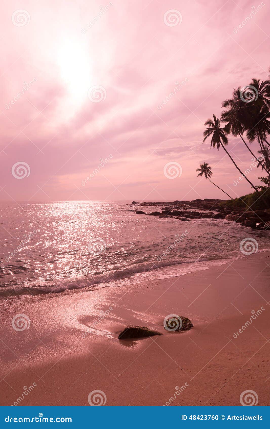 Paisagem Cor-de-rosa Tropical Foto de Stock - Imagem de arenoso, areia ...